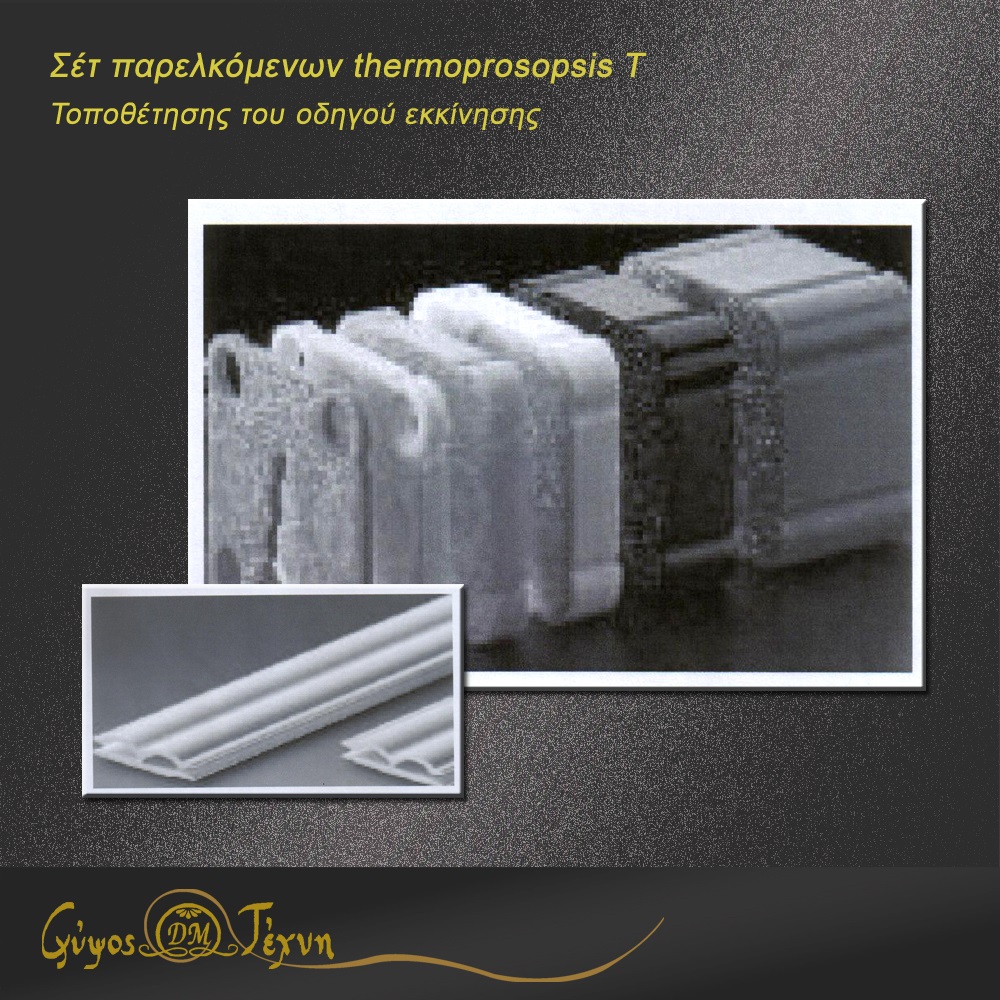 ΣΕΤ ΠΑΡΕΛΚΟΜΕΝΩΝ THERMOPROSOPSIS T (ΤΟΠΟΘΕΤΗΣΗΣ ΟΔΗΓΟΥ ΕΚΚΙΝΗΣΗΣ ...